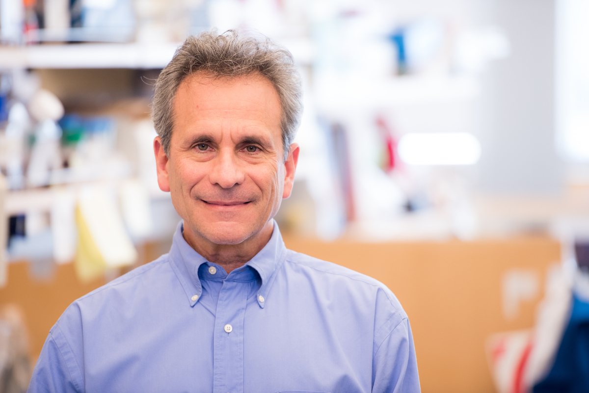 Rubenstein elected to the National Academy of Sciences | UCSF ...